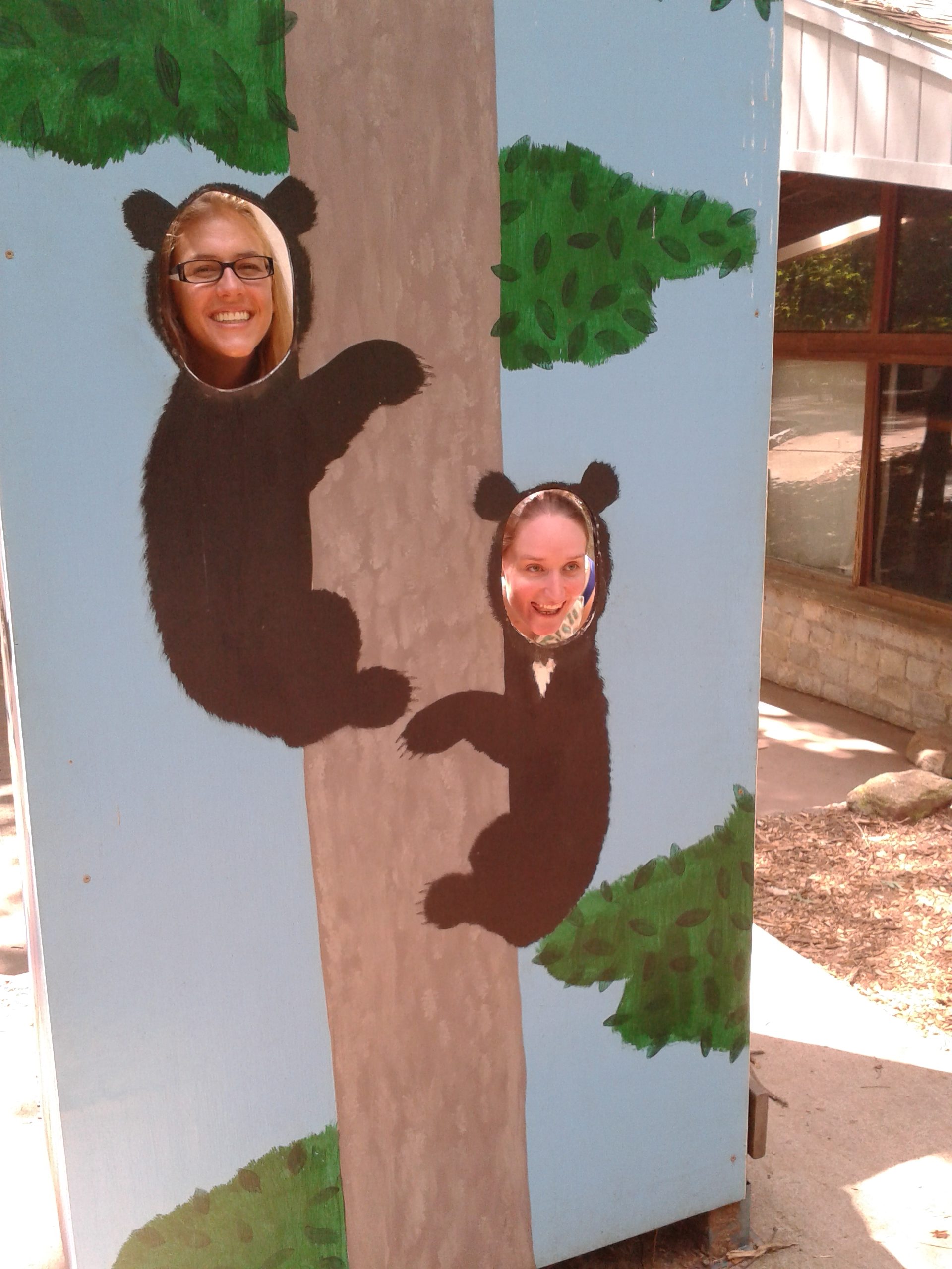 Project 60 – SPLOST Testimonials – Friends of Bear Hollow